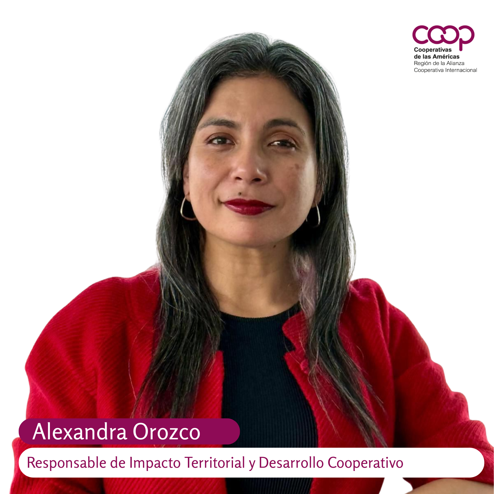 NUESTRO EQUIPO - Cooperativas de las Américas